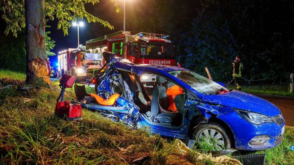 Autofahrer kracht gegen Baum – Beifahrerin (16) stirbt - EN News