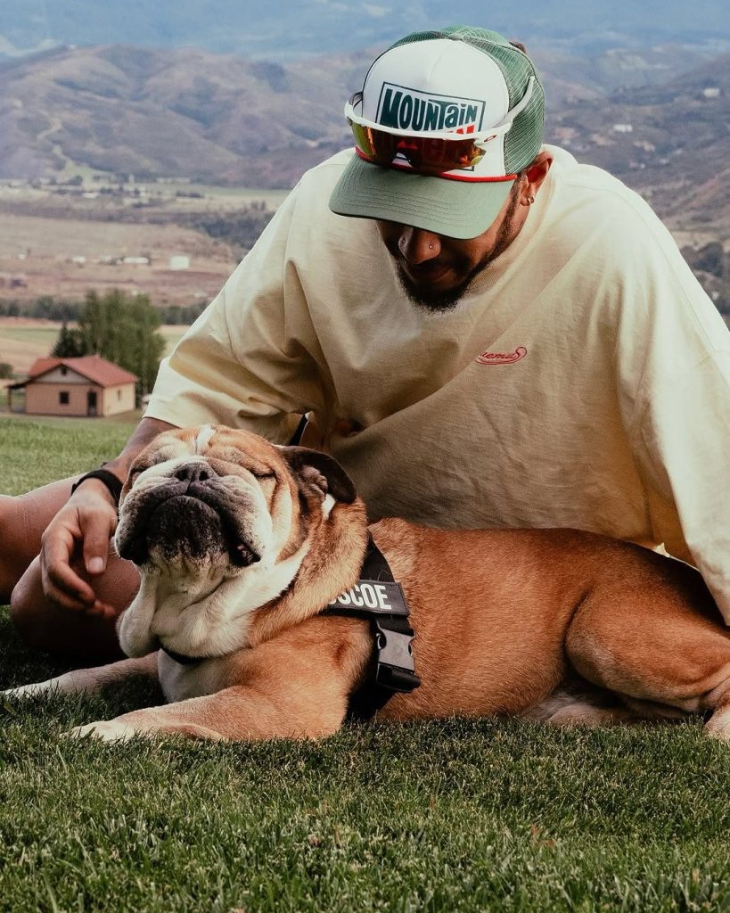 "Engel und wahrer Freund": Lewis Hamilton trauert um seinen Hund Roscoe ...
