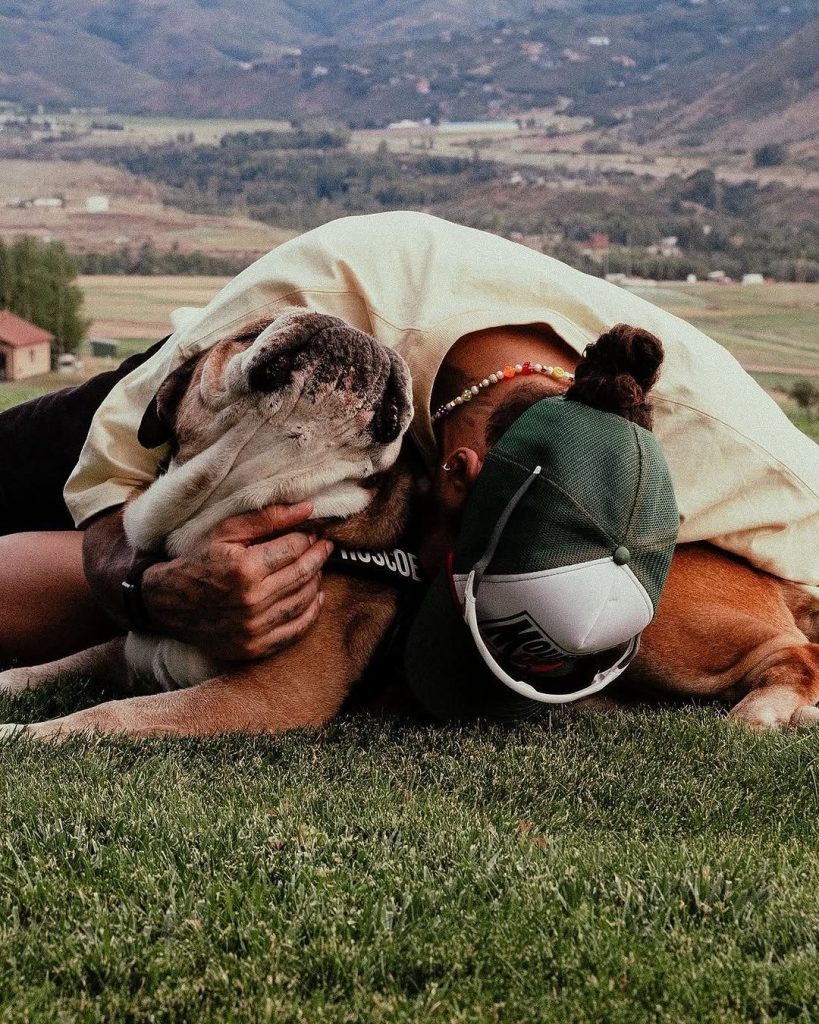 "Engel und wahrer Freund": Lewis Hamilton trauert um seinen Hund Roscoe ...